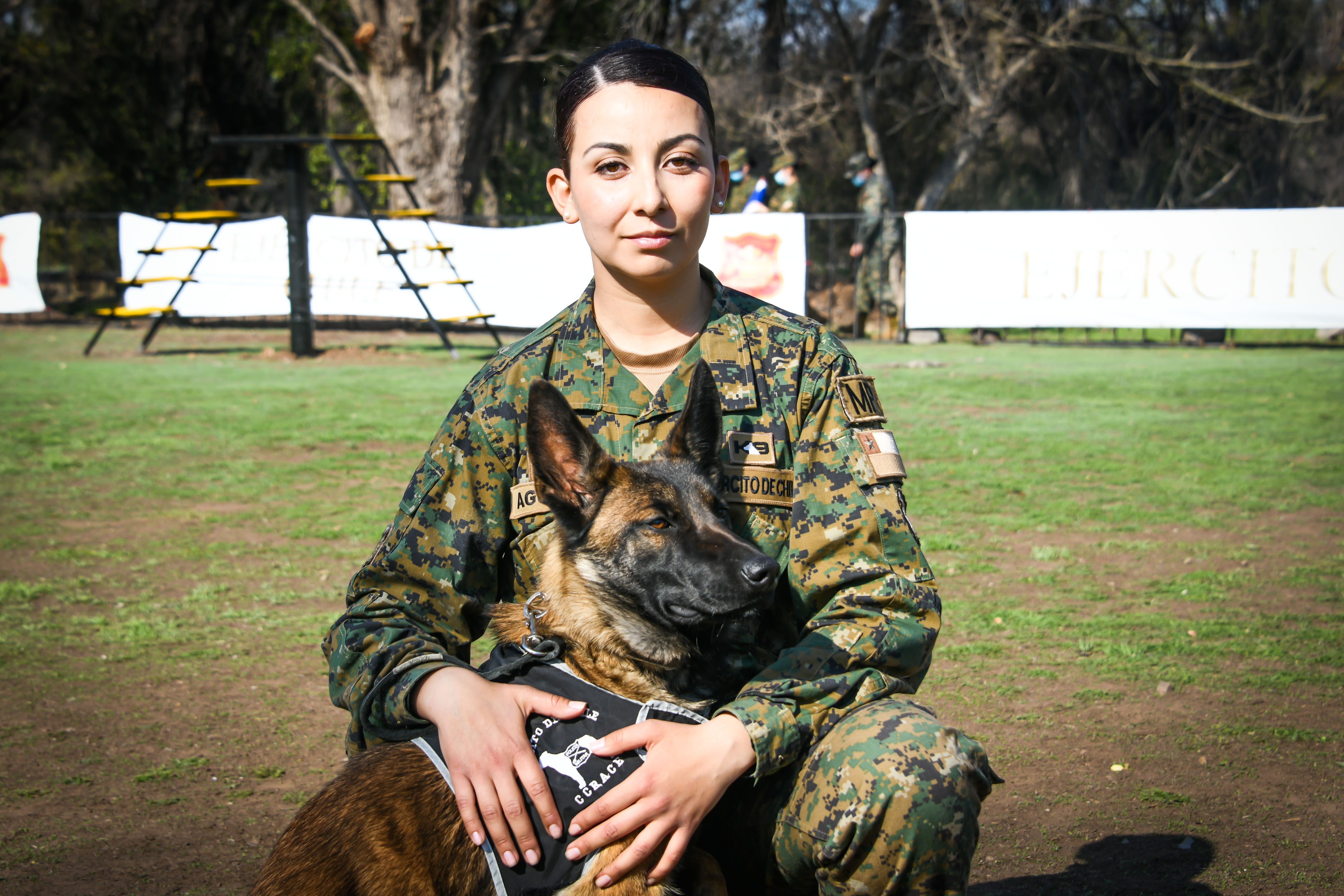 Cuantos Perros Hay En El Ejercito De Estados Unidos