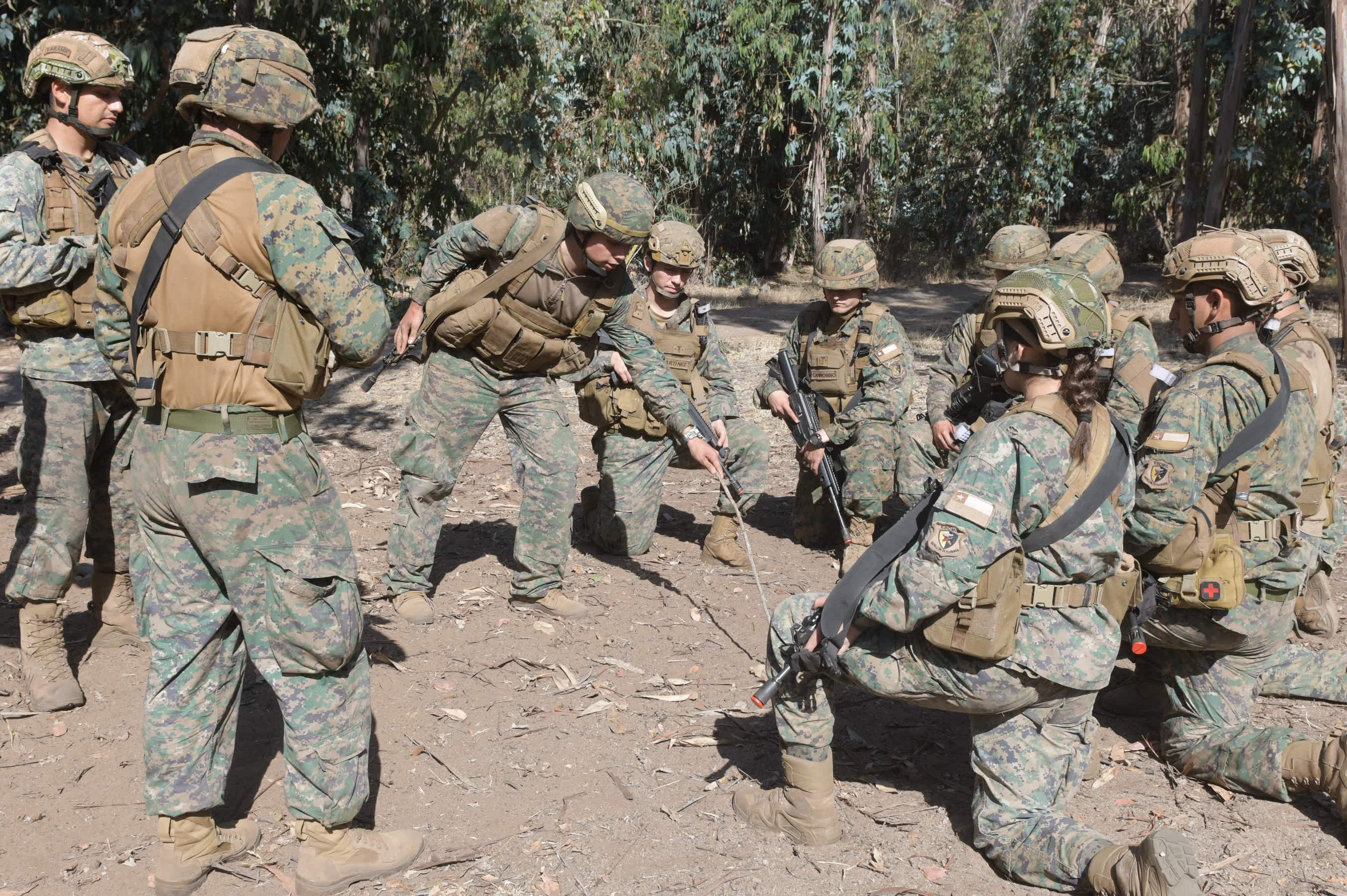 Prensa y Multimedia - Ejército de Chile