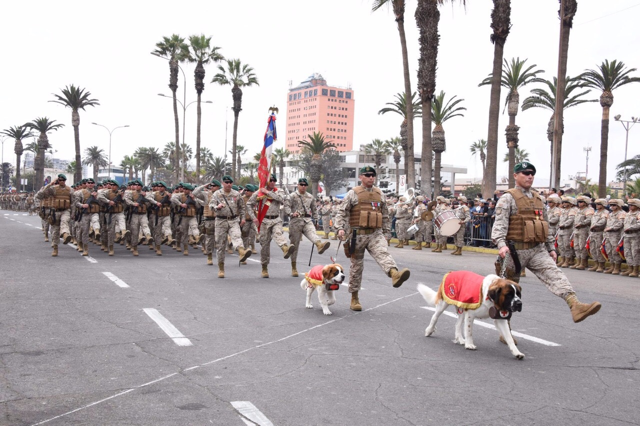 Prensa y Multimedia - Ejército de Chile