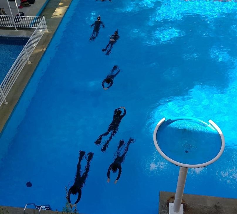 Prensa y Multimedia - Ejército de Chile