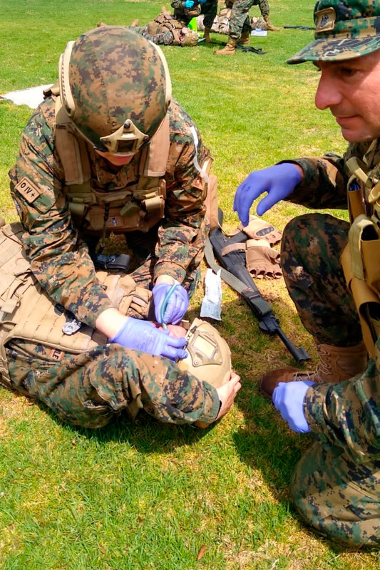 Prensa y Multimedia - Ejército de Chile