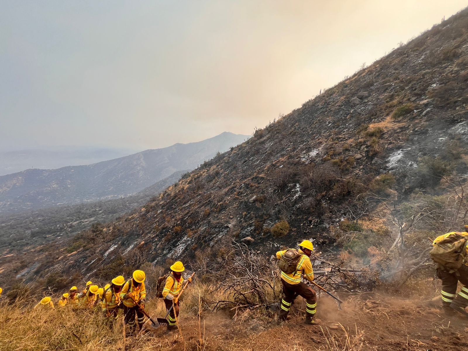 Prensa y Multimedia - Ejército de Chile