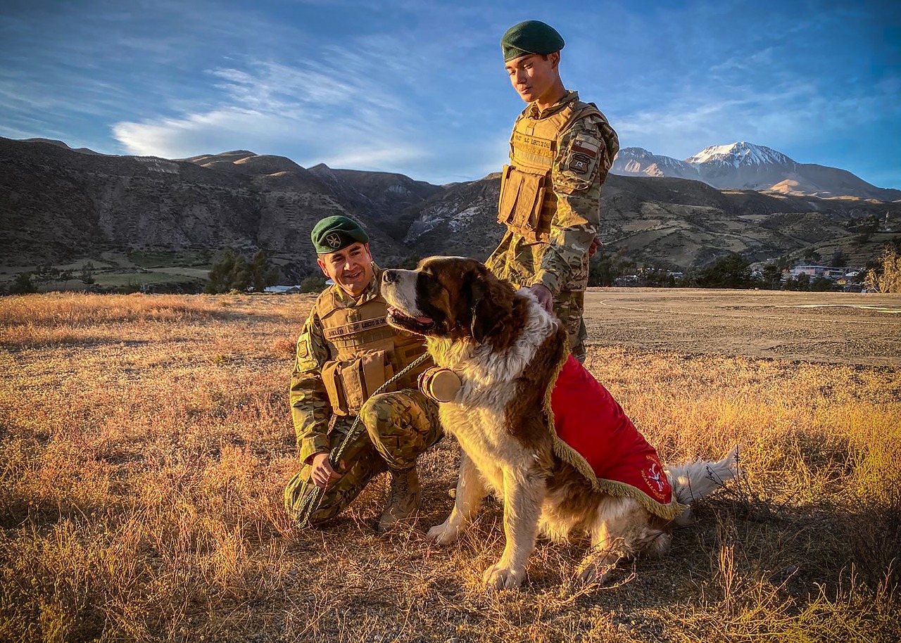 Prensa y Multimedia - Ejército de Chile