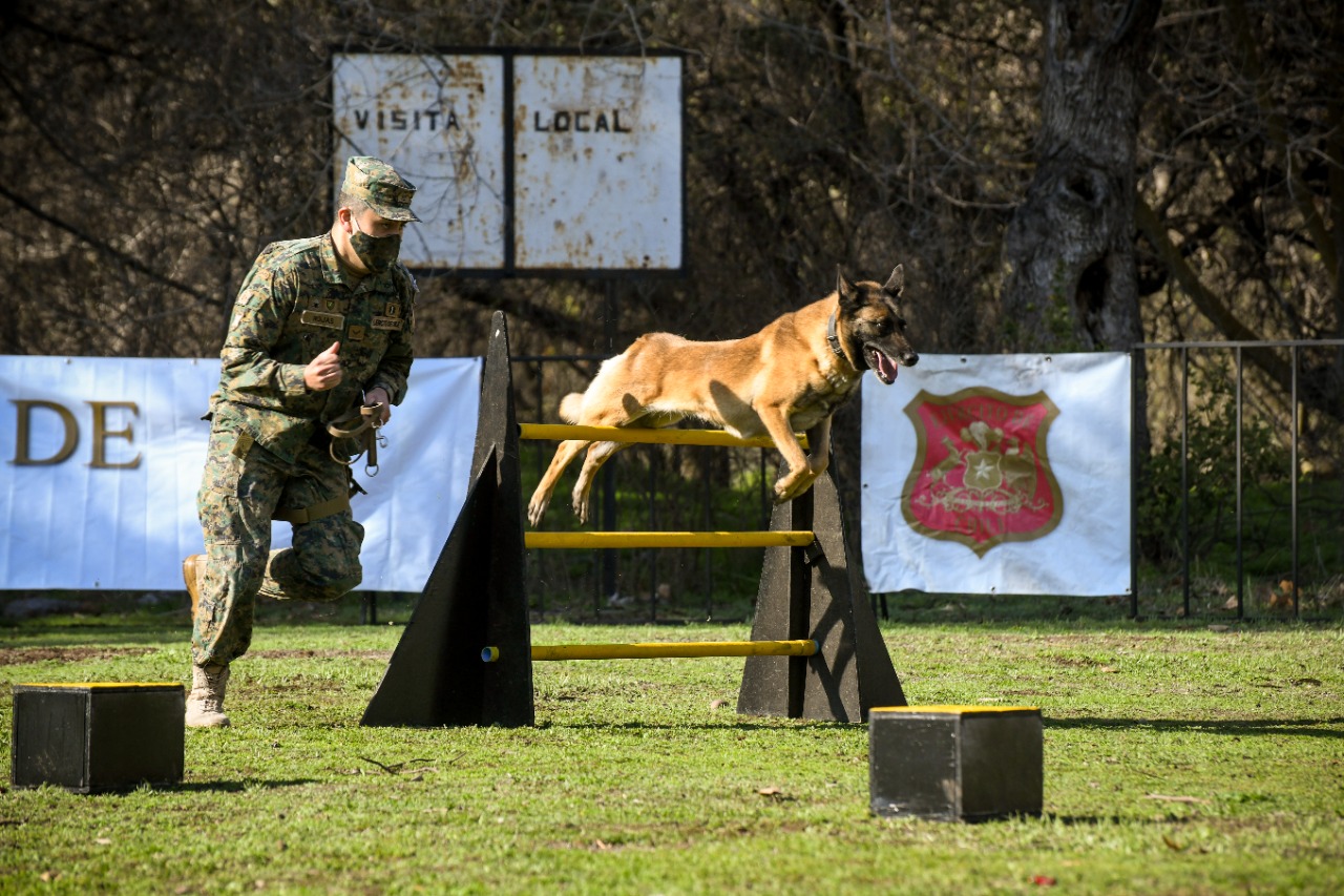 Prensa y Multimedia - Ejército de Chile
