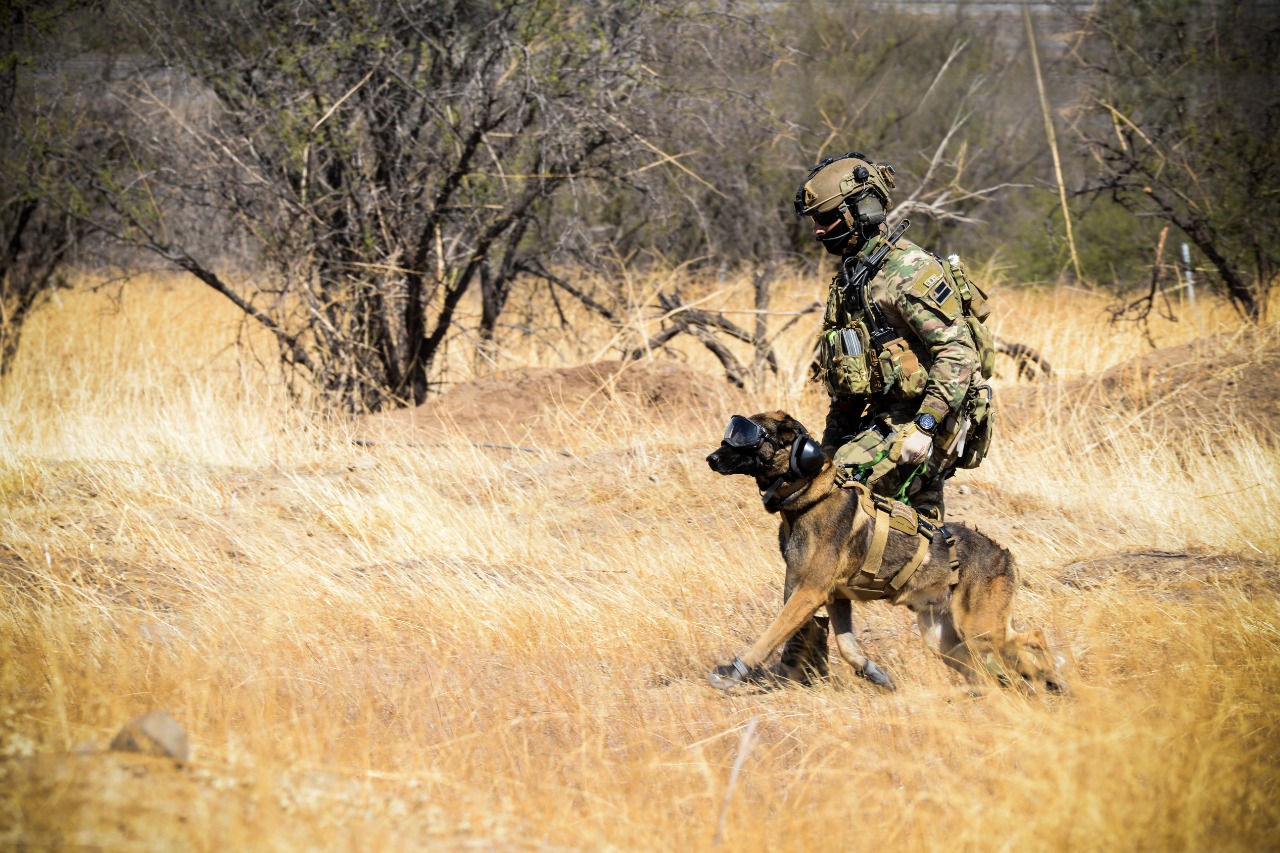 Prensa y Multimedia - Ejército de Chile