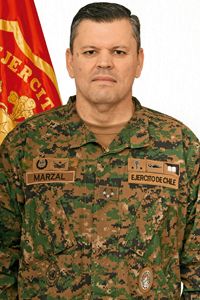 Estructura y Organización - Ejército de Chile